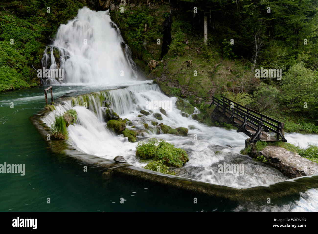 idyllic waterfall surrounded by green forest landscape Stock Photo - Alamy