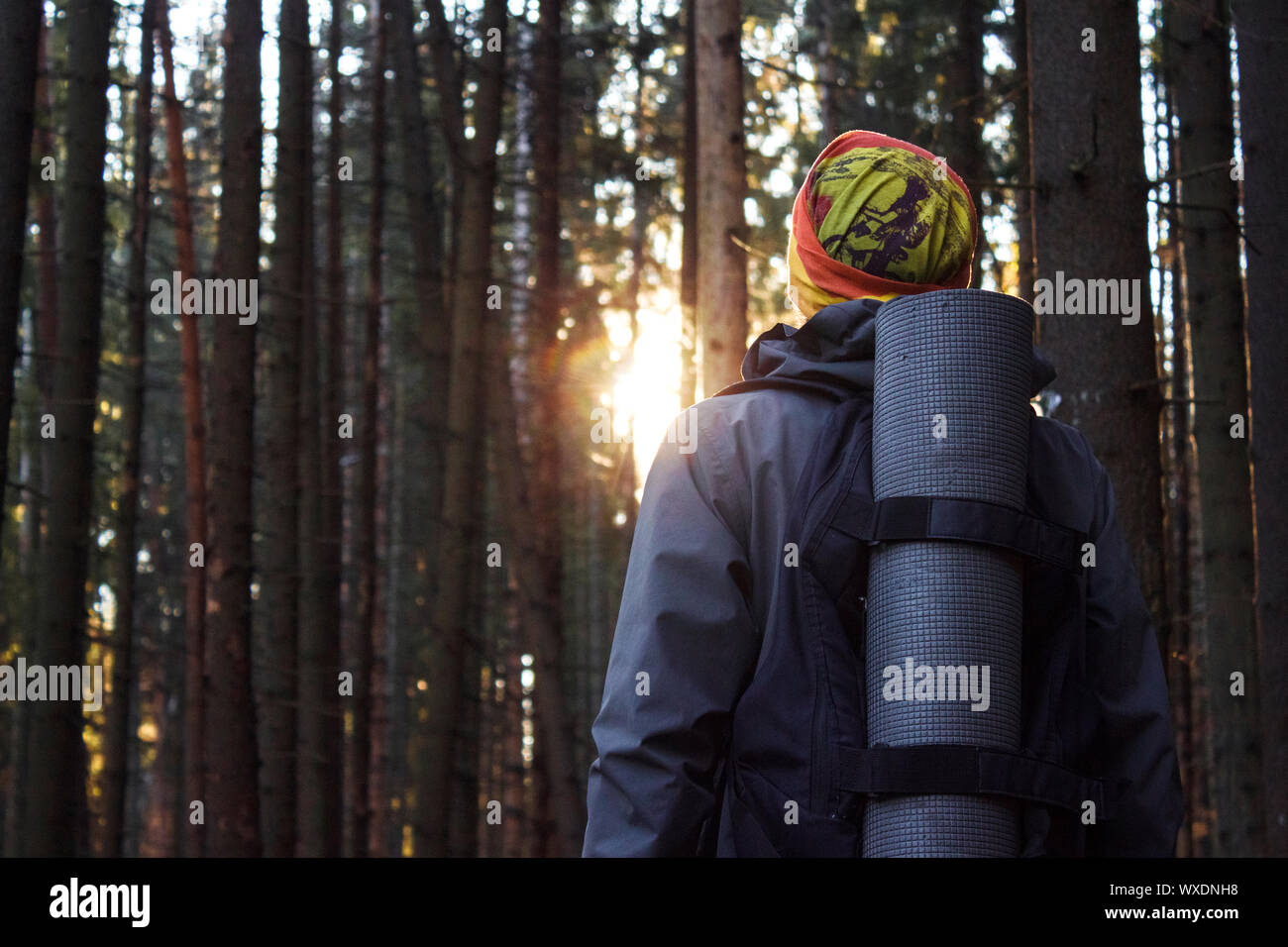 Young guy with backpack, traveller standing in the woods Stock Photo ...