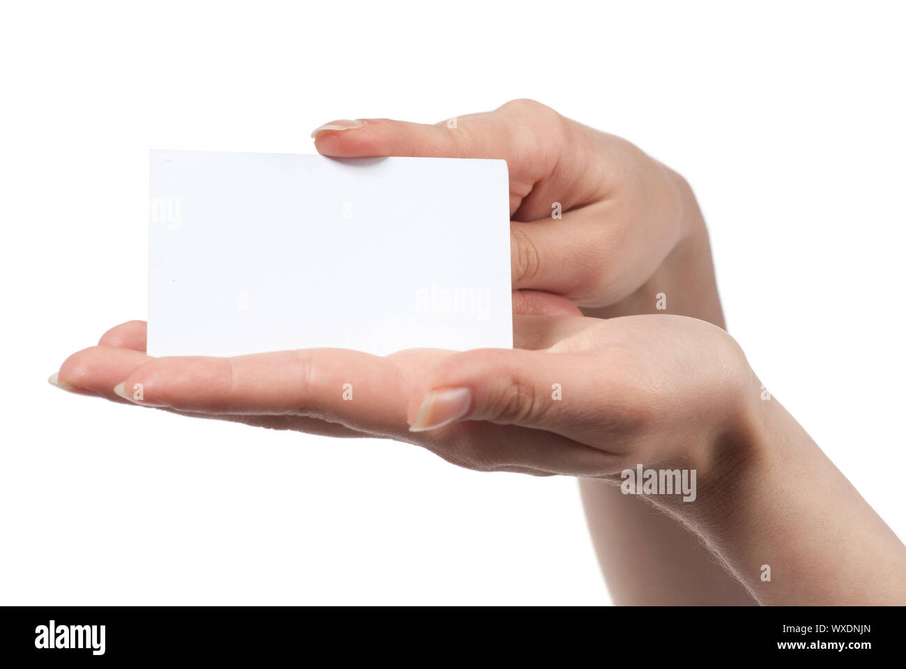Woman hand holding empty visiting card isolated on white Stock Photo ...