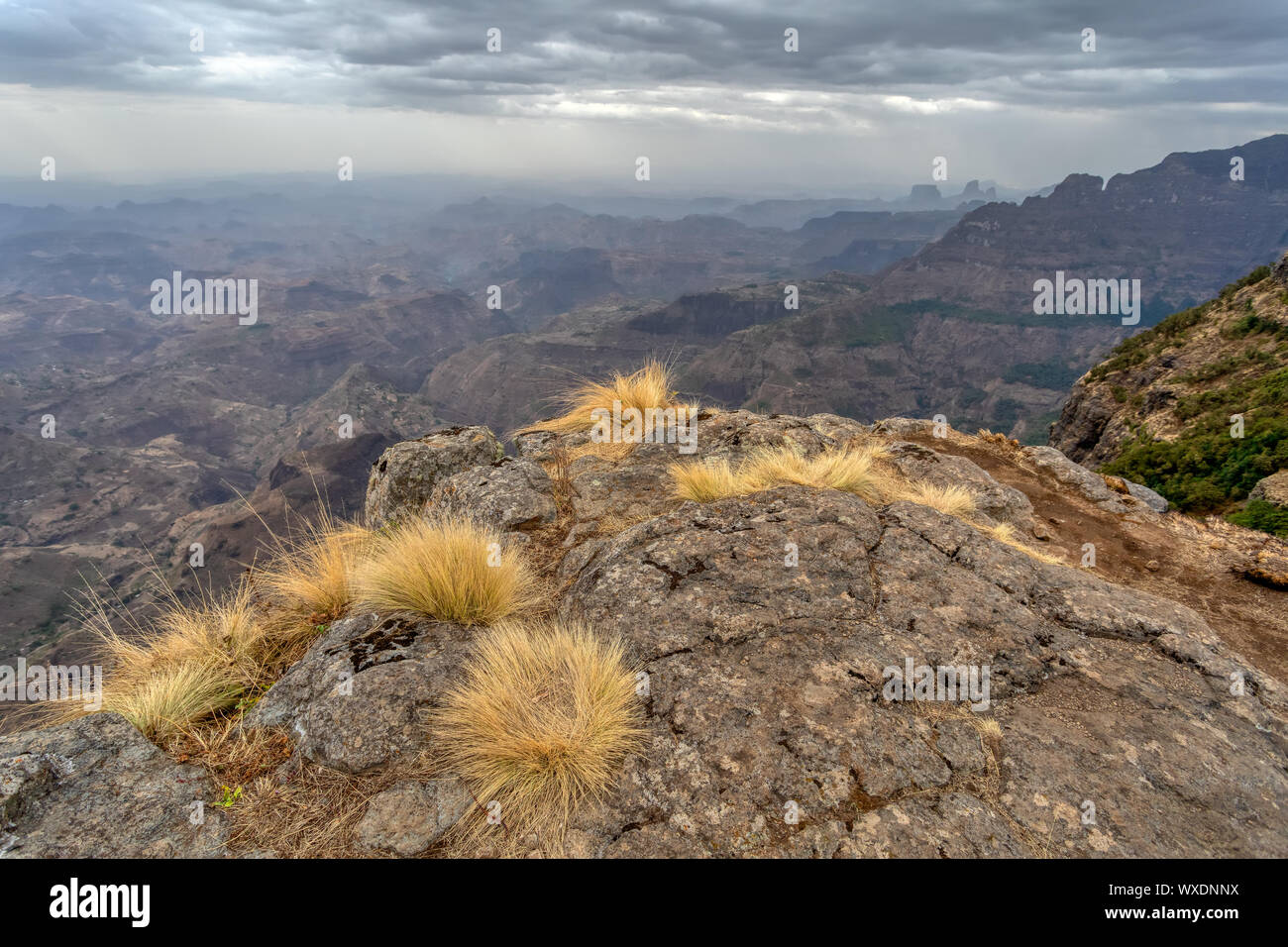 Semien mountains national park hi-res stock photography and images - Alamy