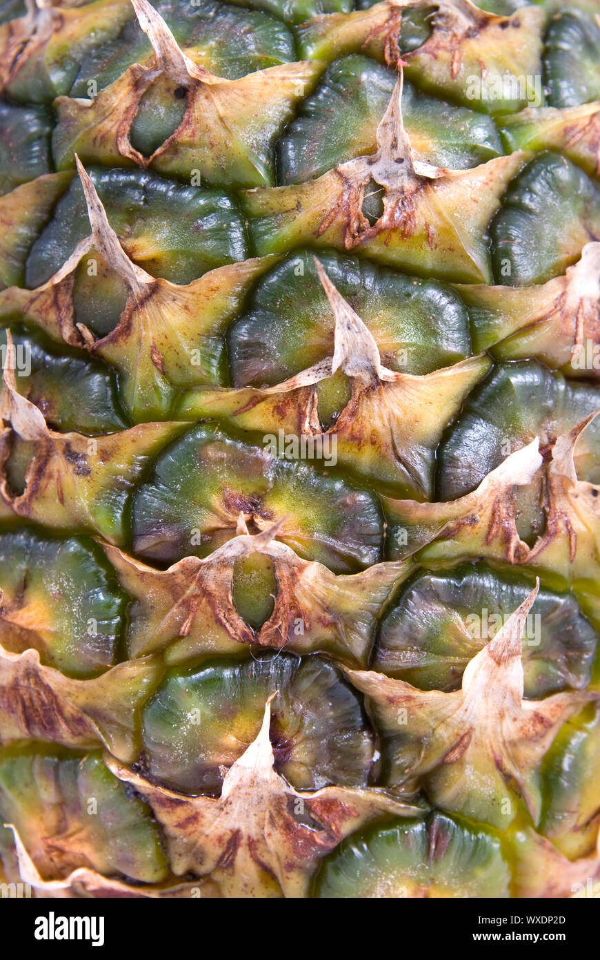 pineapple natural texture Stock Photo - Alamy
