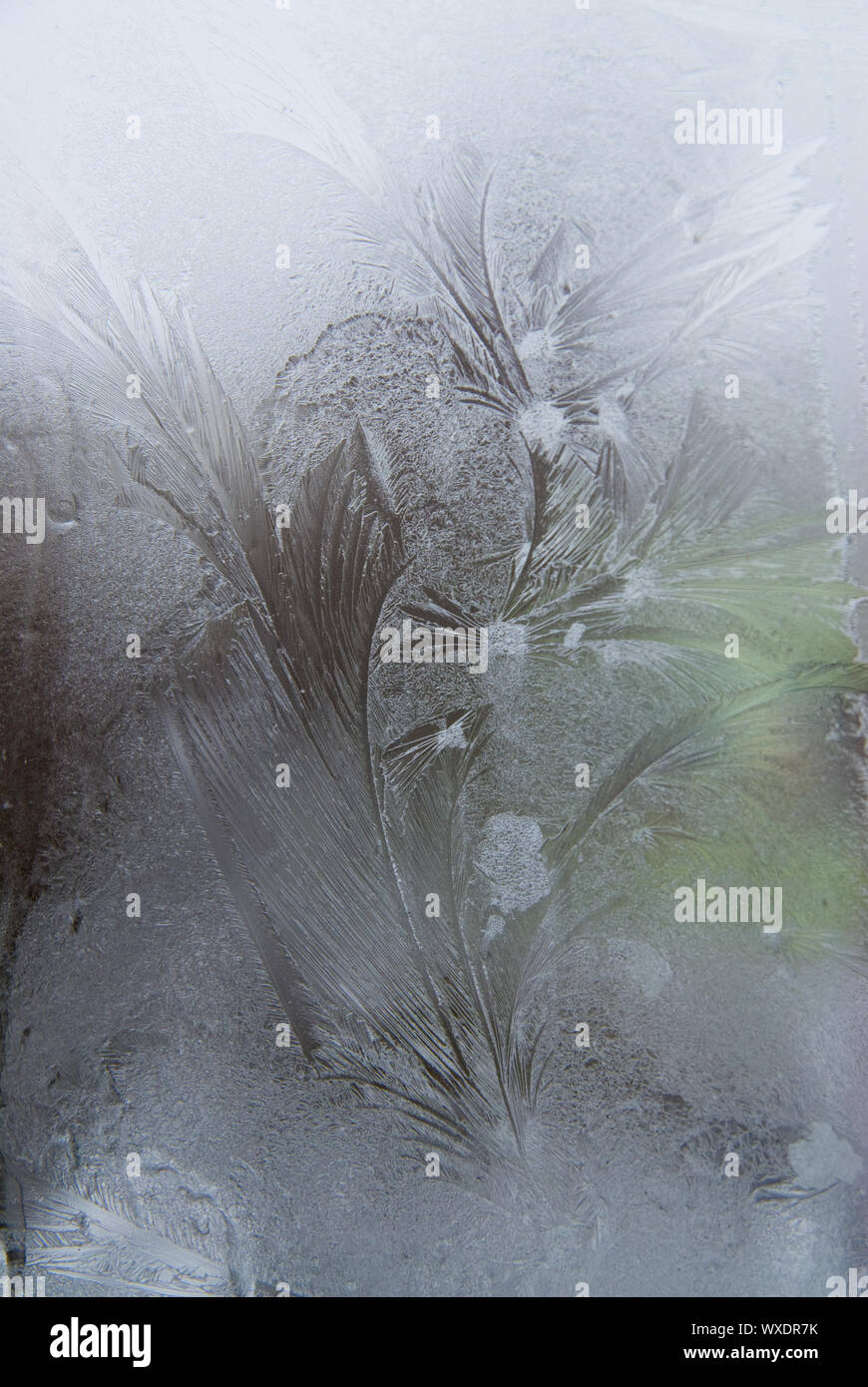 ice on a window Stock Photo - Alamy