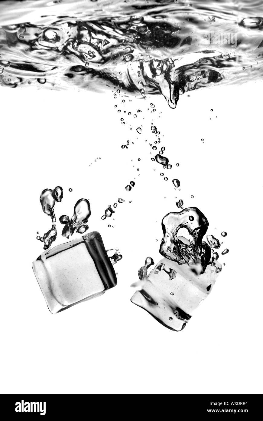 ice cubes dropped into water with splash isolated on white Stock Photo ...