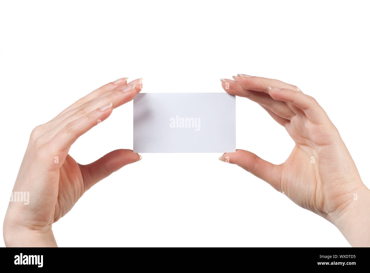 Woman hand holding empty visiting card isolated on white Stock Photo ...