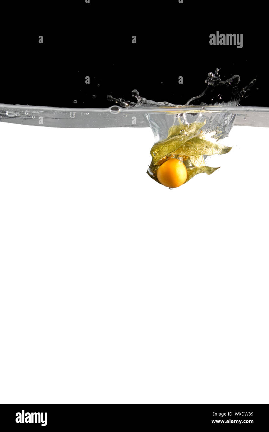 one physalis thrown in water with black and white background Stock ...