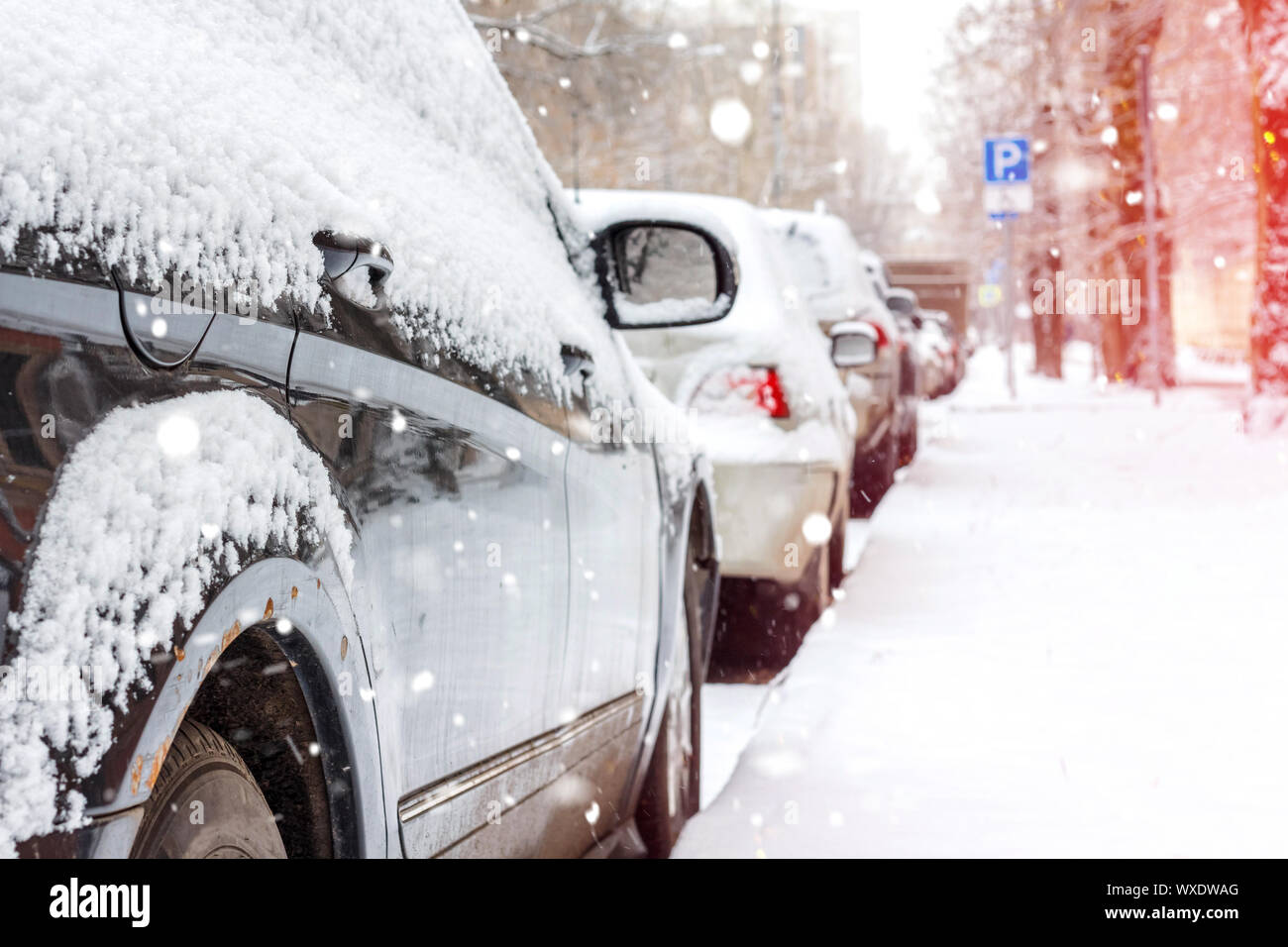 Snow on cars after snowfall Stock Photo - Alamy