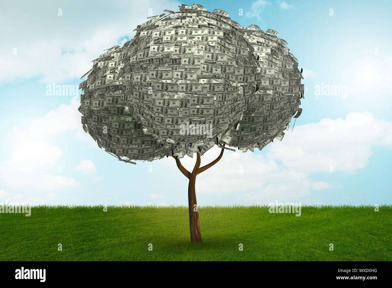Money tree in business concept - 3d rendering Stock Photo - Alamy
