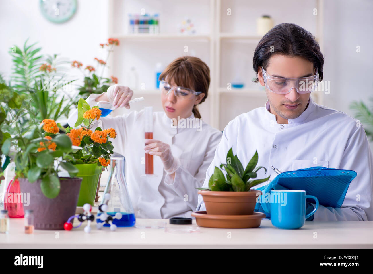 Two young botanist working in the lab Stock Photo - Alamy