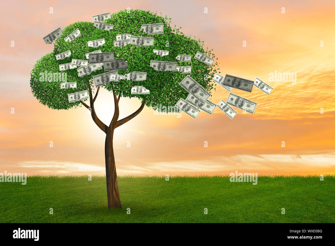 Money tree in business concept - 3d rendering Stock Photo - Alamy