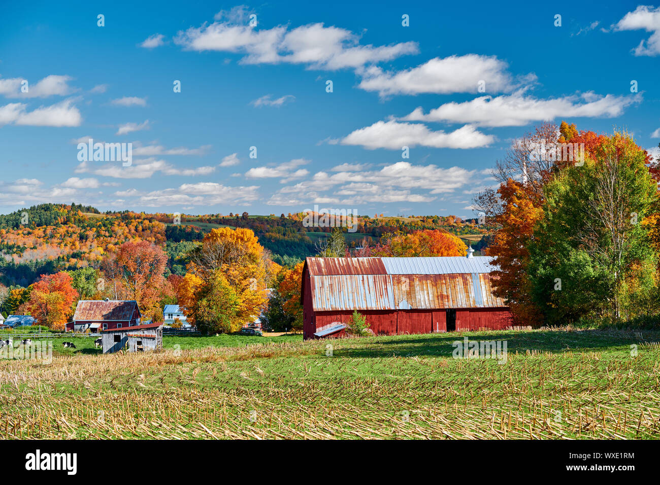 Red Barn Sunny Sky High Resolution Stock Photography and Images - Alamy
