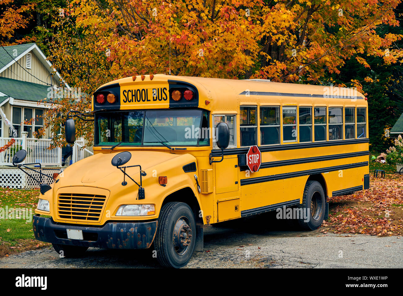 Schoolbus usa rural hi-res stock photography and images - Alamy