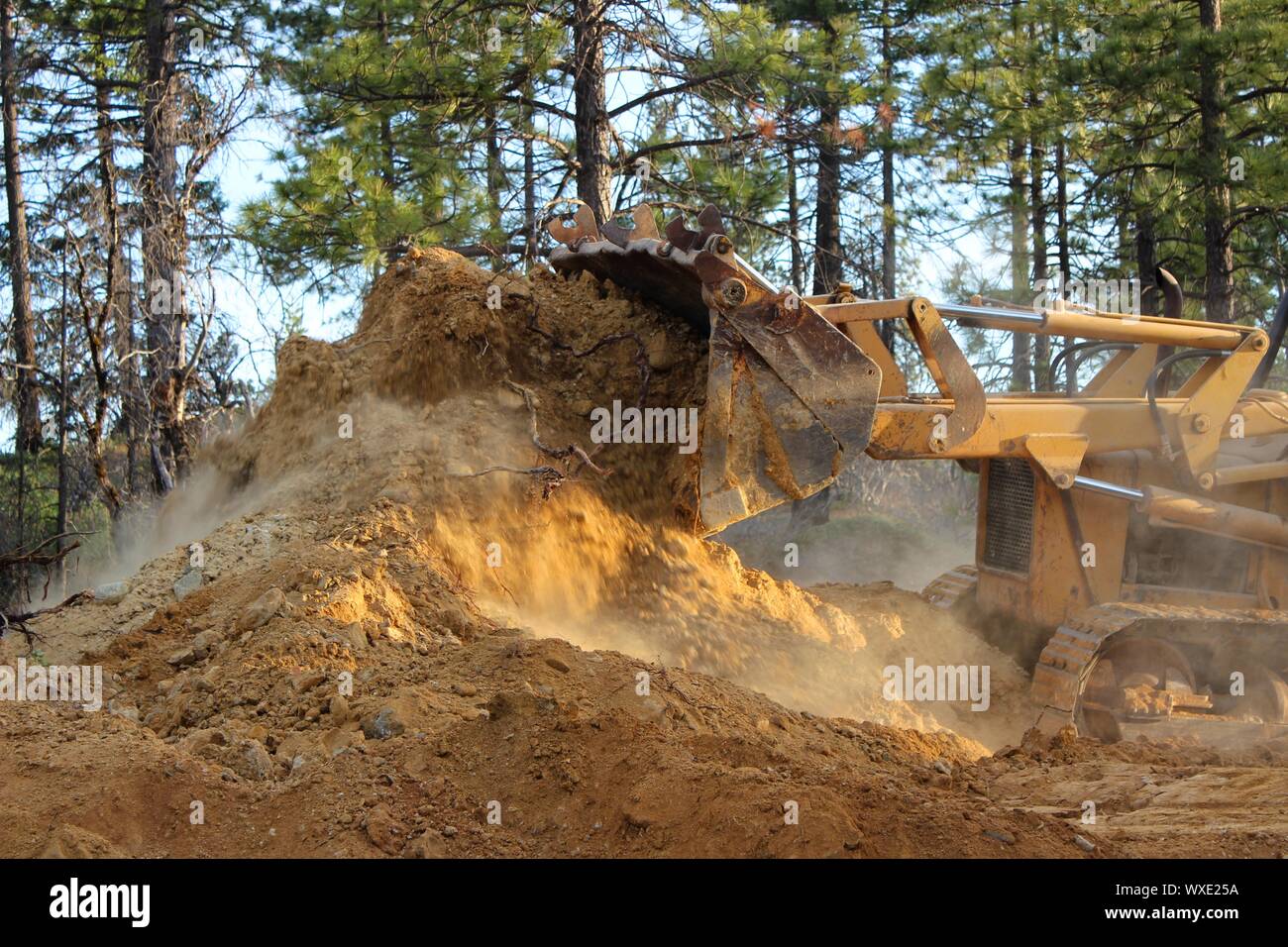 Bulldozer clearing forest hi-res stock photography and images - Alamy