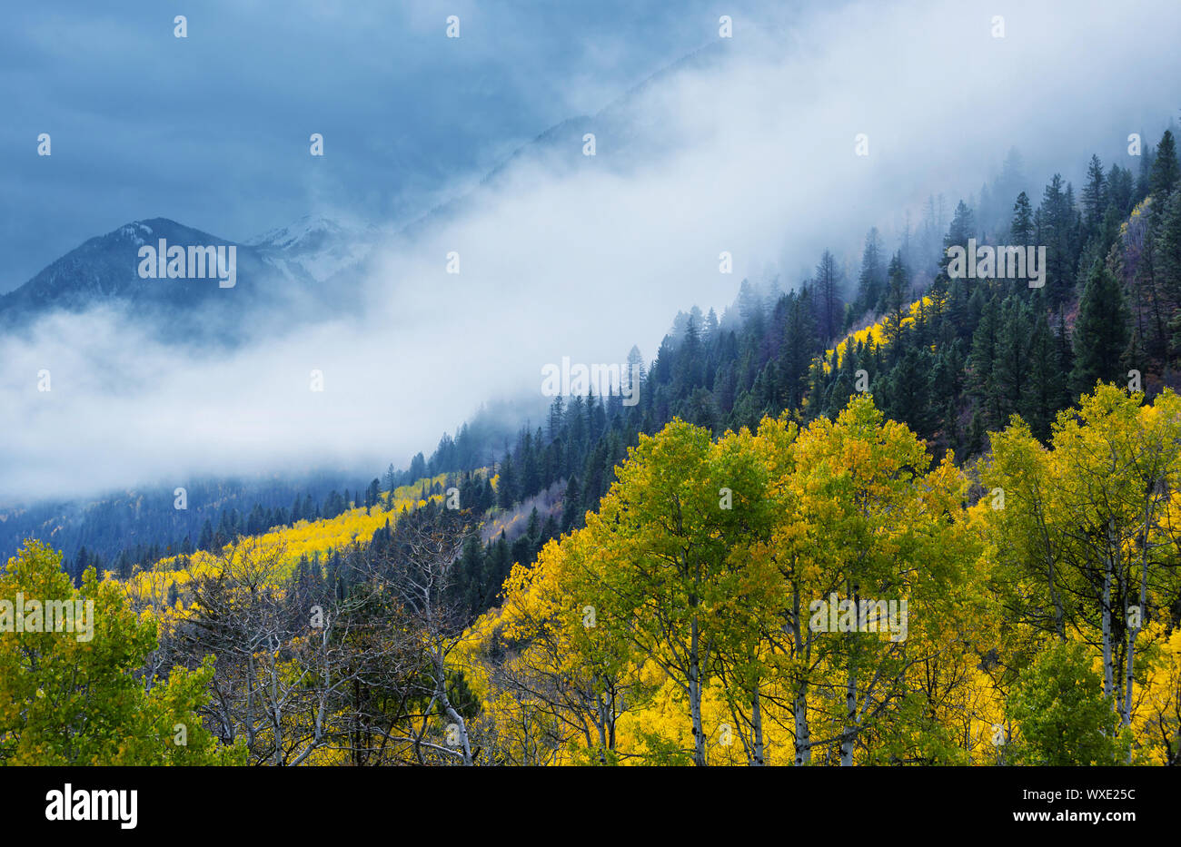 Autumn in Colorado Stock Photo - Alamy