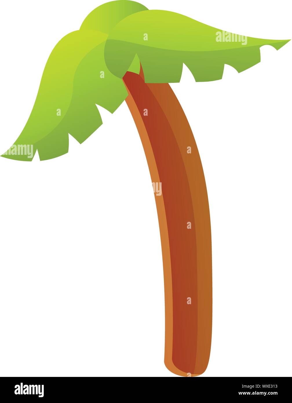 Desert palm tree icon. Cartoon of desert palm tree vector icon for web ...