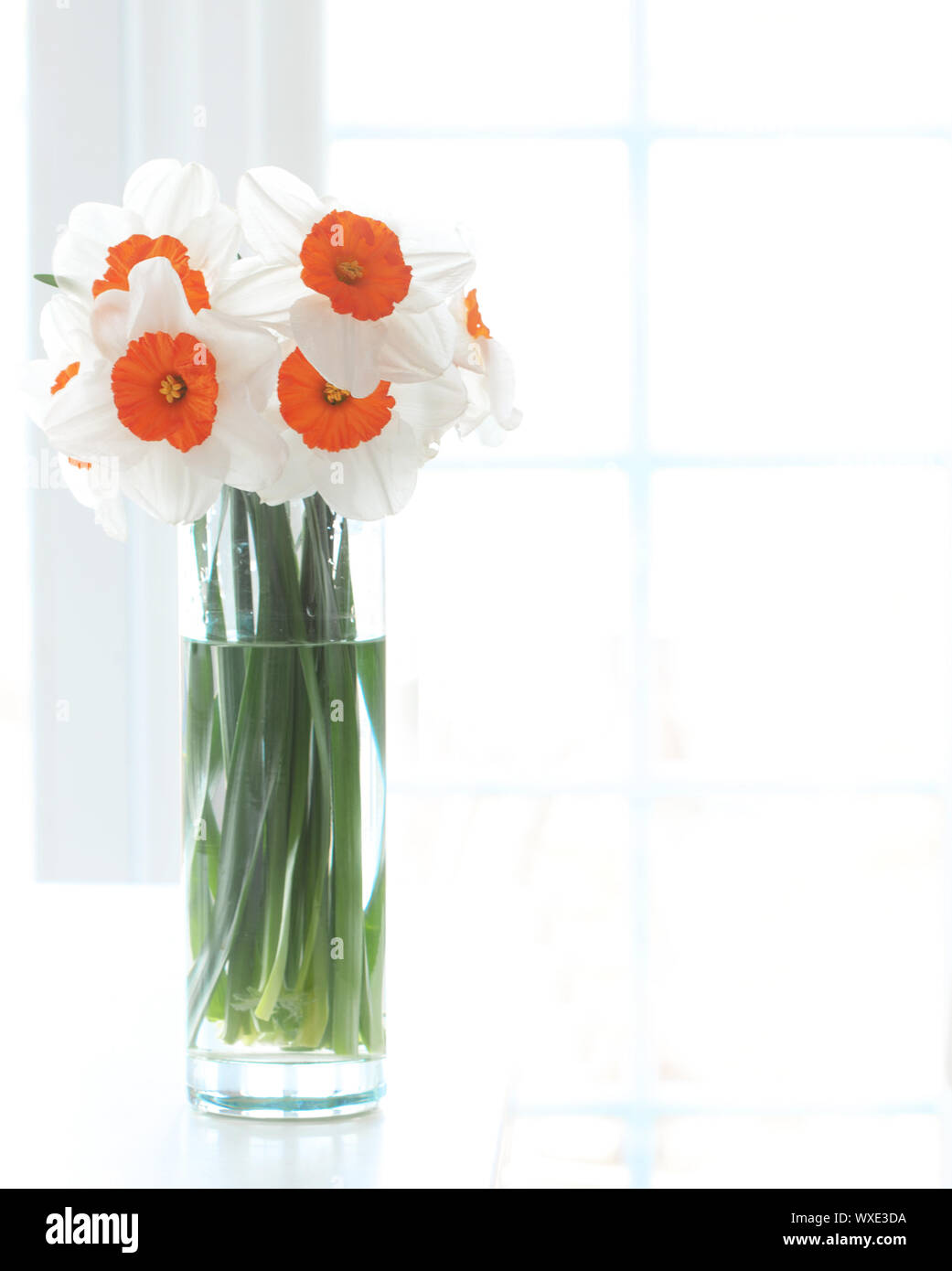 Bouquet of beautiful spring flowers in a glass vase over window light ...