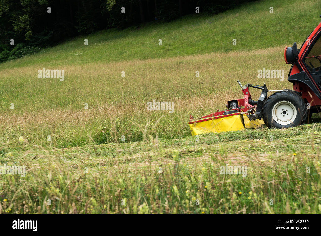 small tractor with mower in front cutting a steep hillside wildflower ...