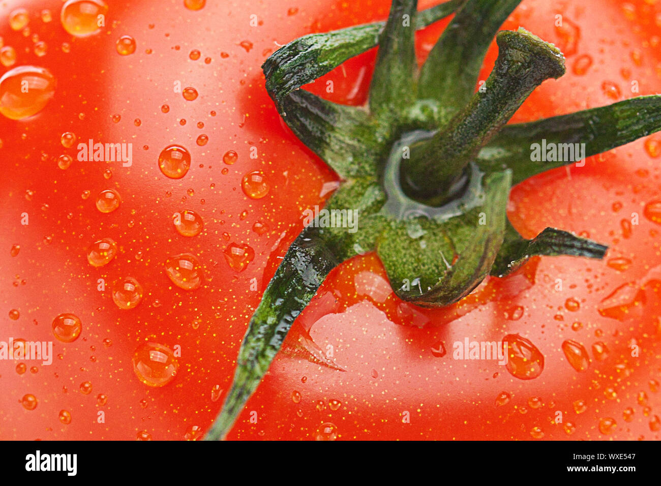 background of the tomato with water drops Stock Photo - Alamy