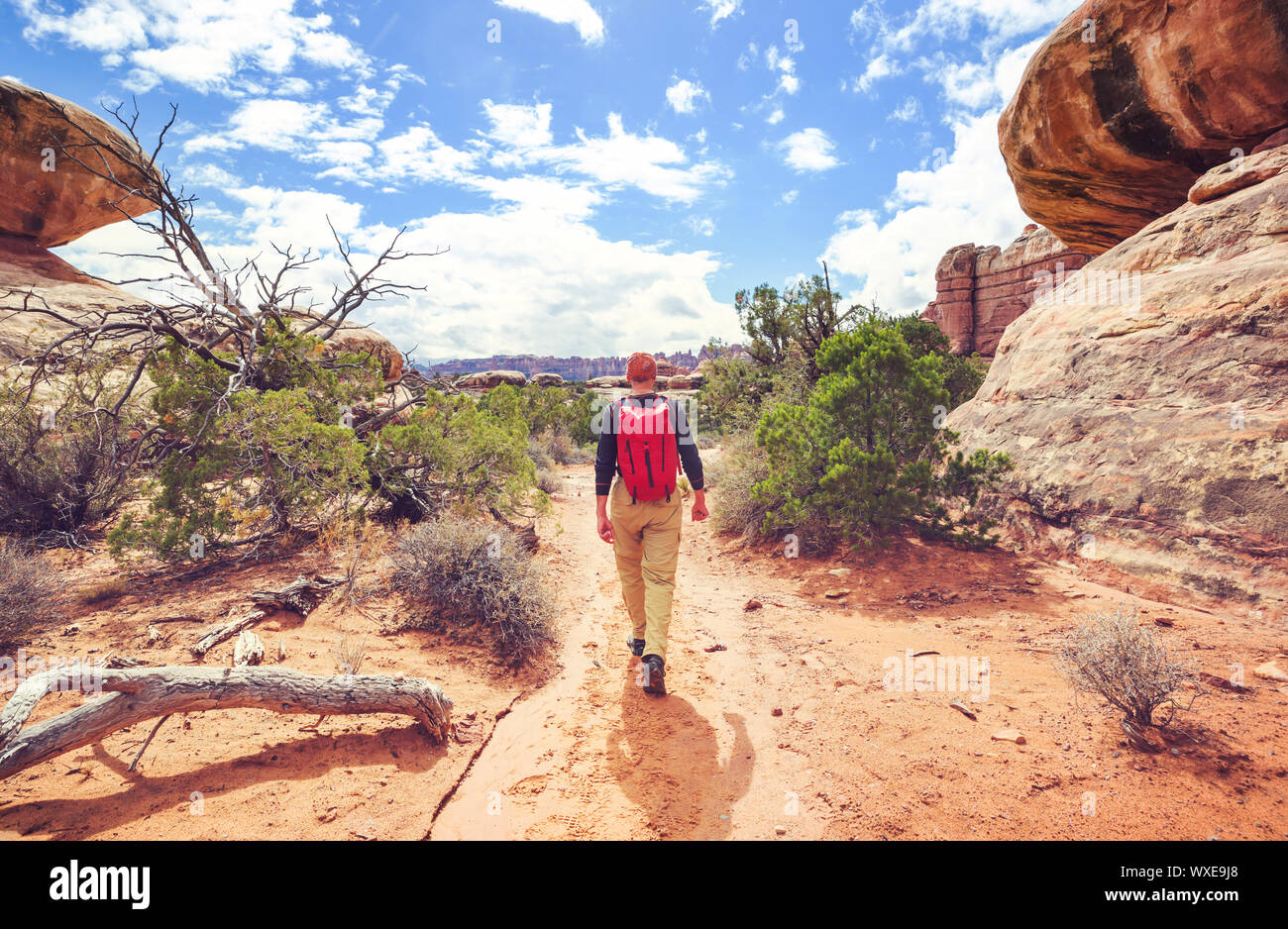 Hike in Utah Stock Photo - Alamy