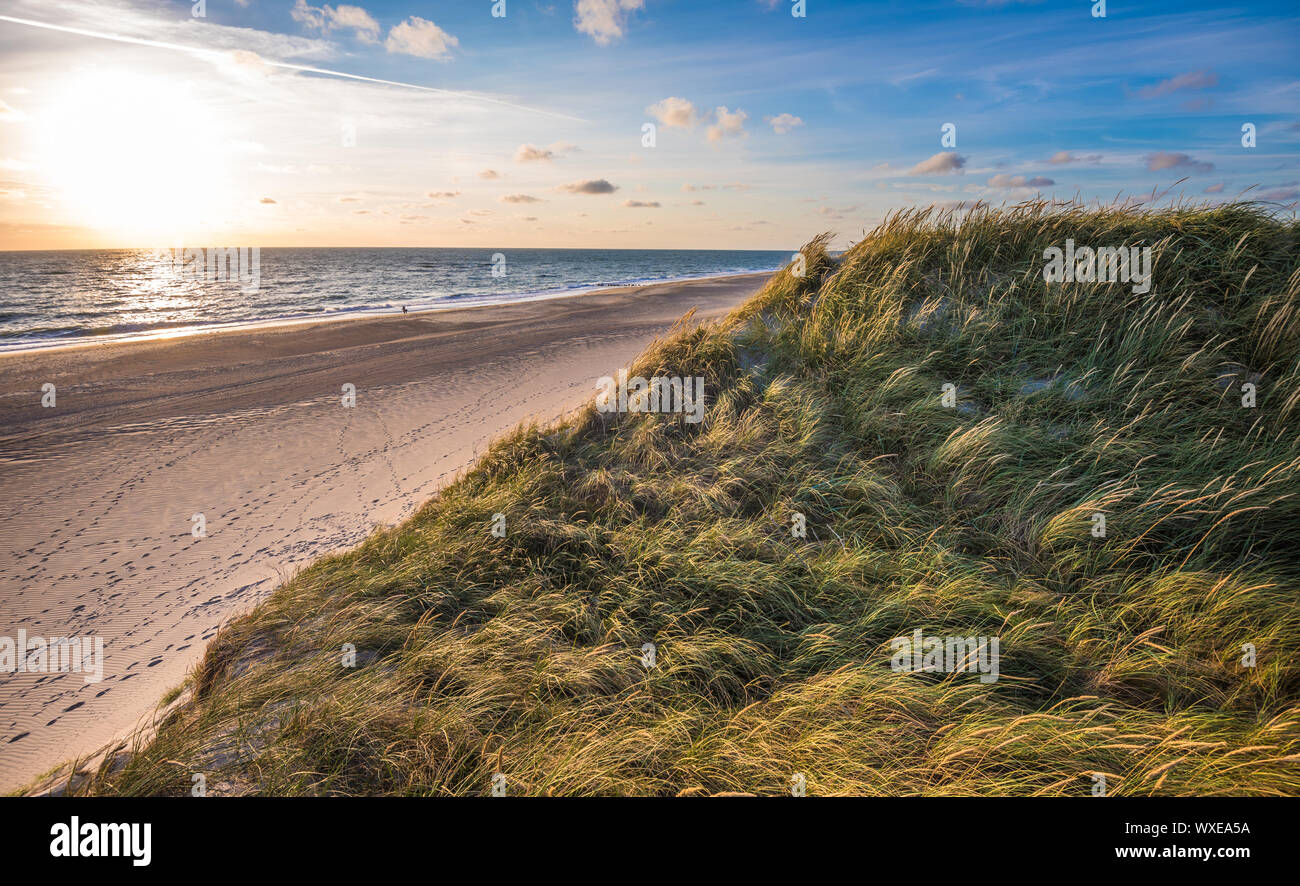 Jutland coast hi-res stock photography and images - Alamy