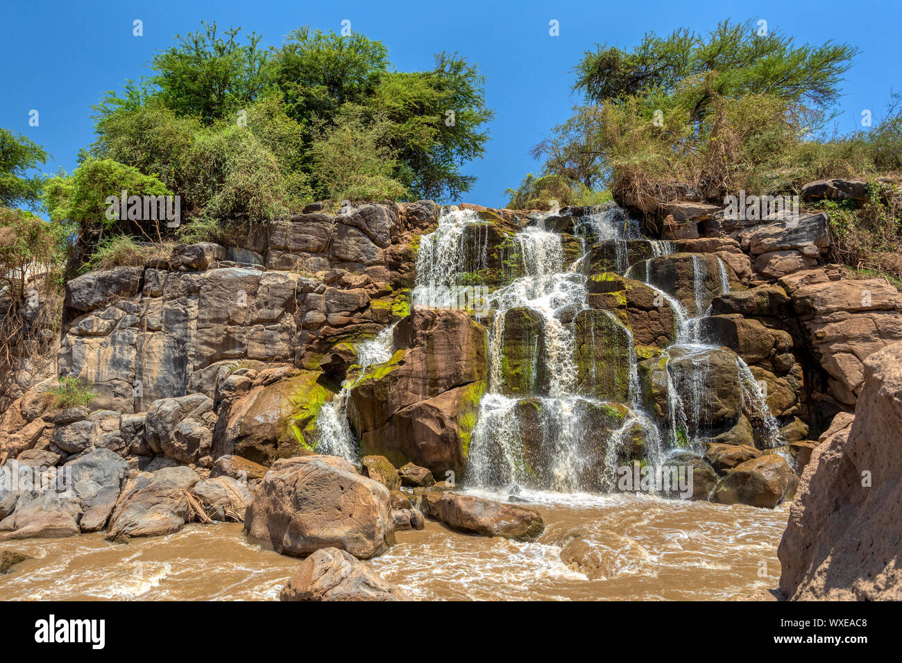 Awash national park hi-res stock photography and images - Alamy