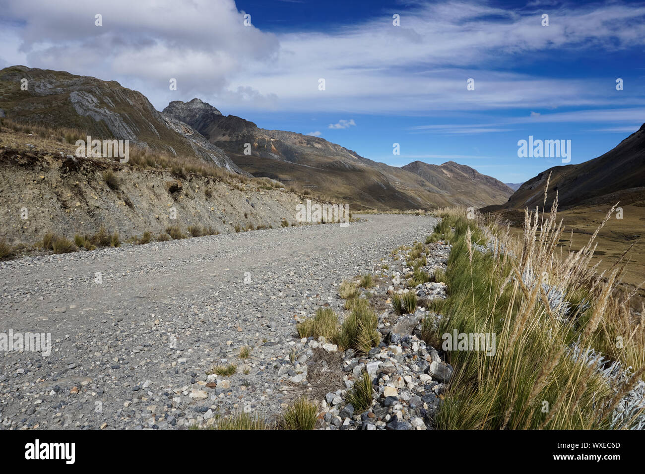 High altitude grasslands hi-res stock photography and images - Alamy