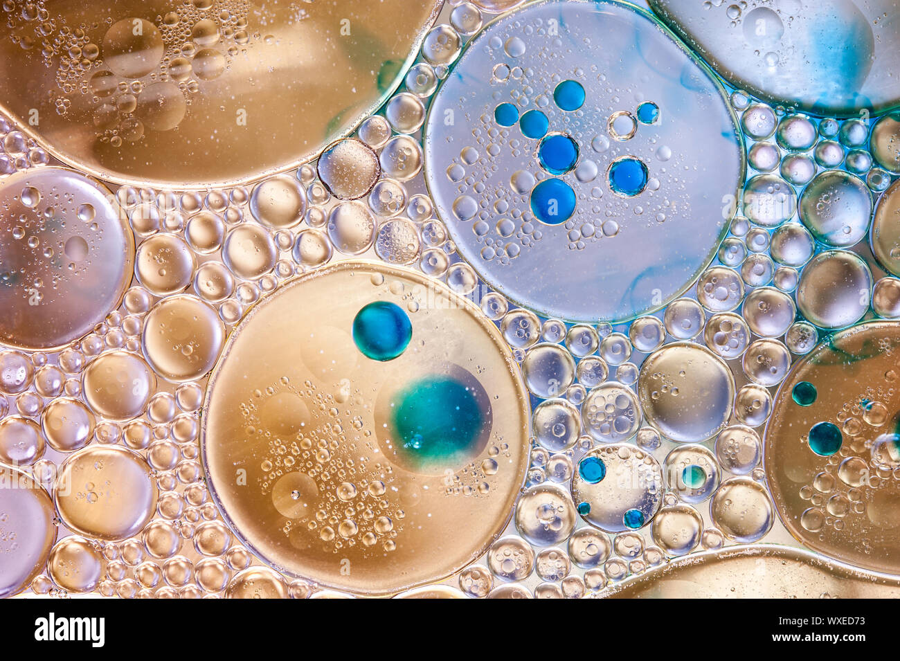 Colourful oil ink bubbles and drops. Abstract template mixed texture ...