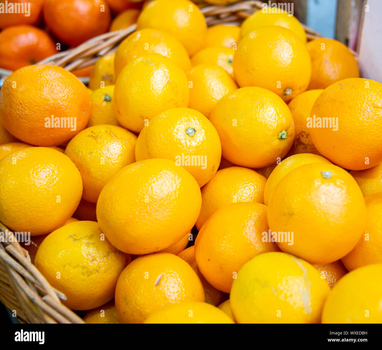 Citrus fruits at the market display stall Stock Photo - Alamy