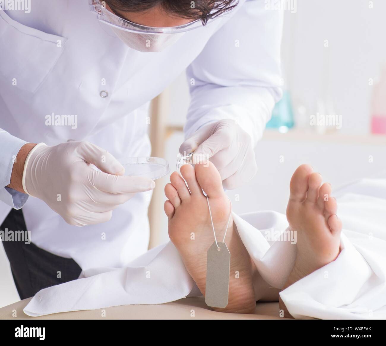 Police coroner examining dead body corpse in morgue Stock Photo - Alamy