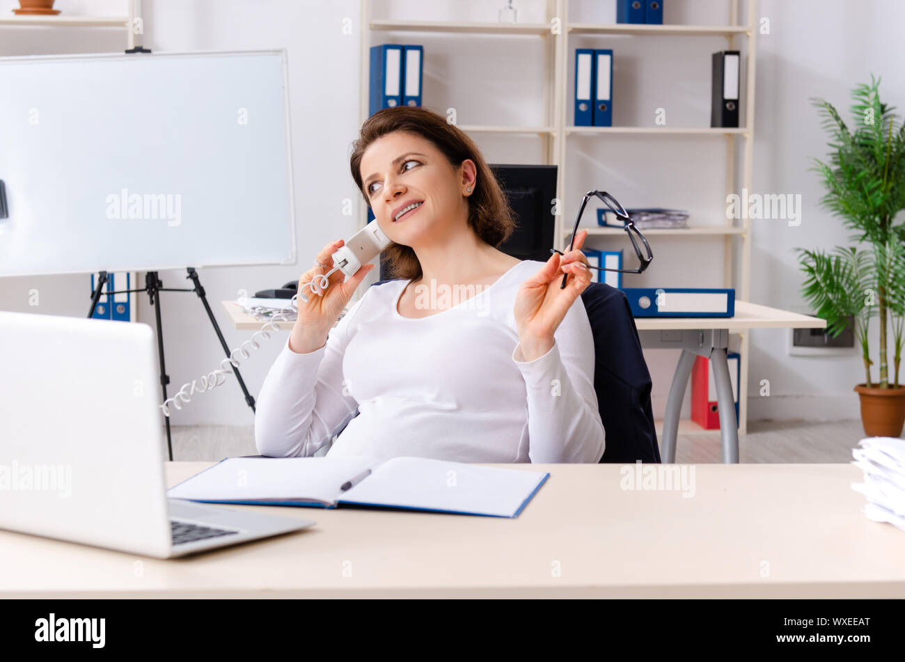 Experienced female employee working in the office Stock Photo - Alamy