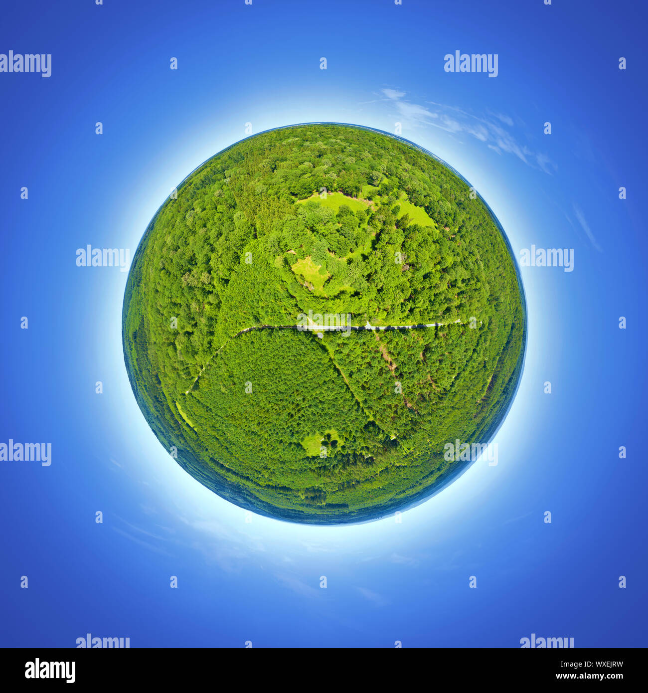Little planet forest hi-res stock photography and images - Alamy