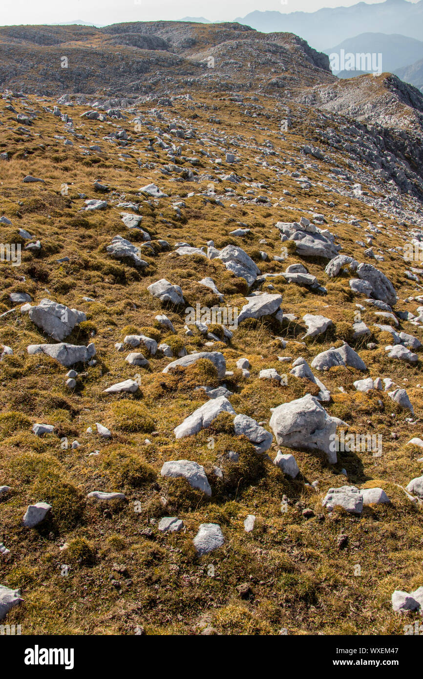 Rocks mix with grass on Tosc mountain Stock Photo - Alamy