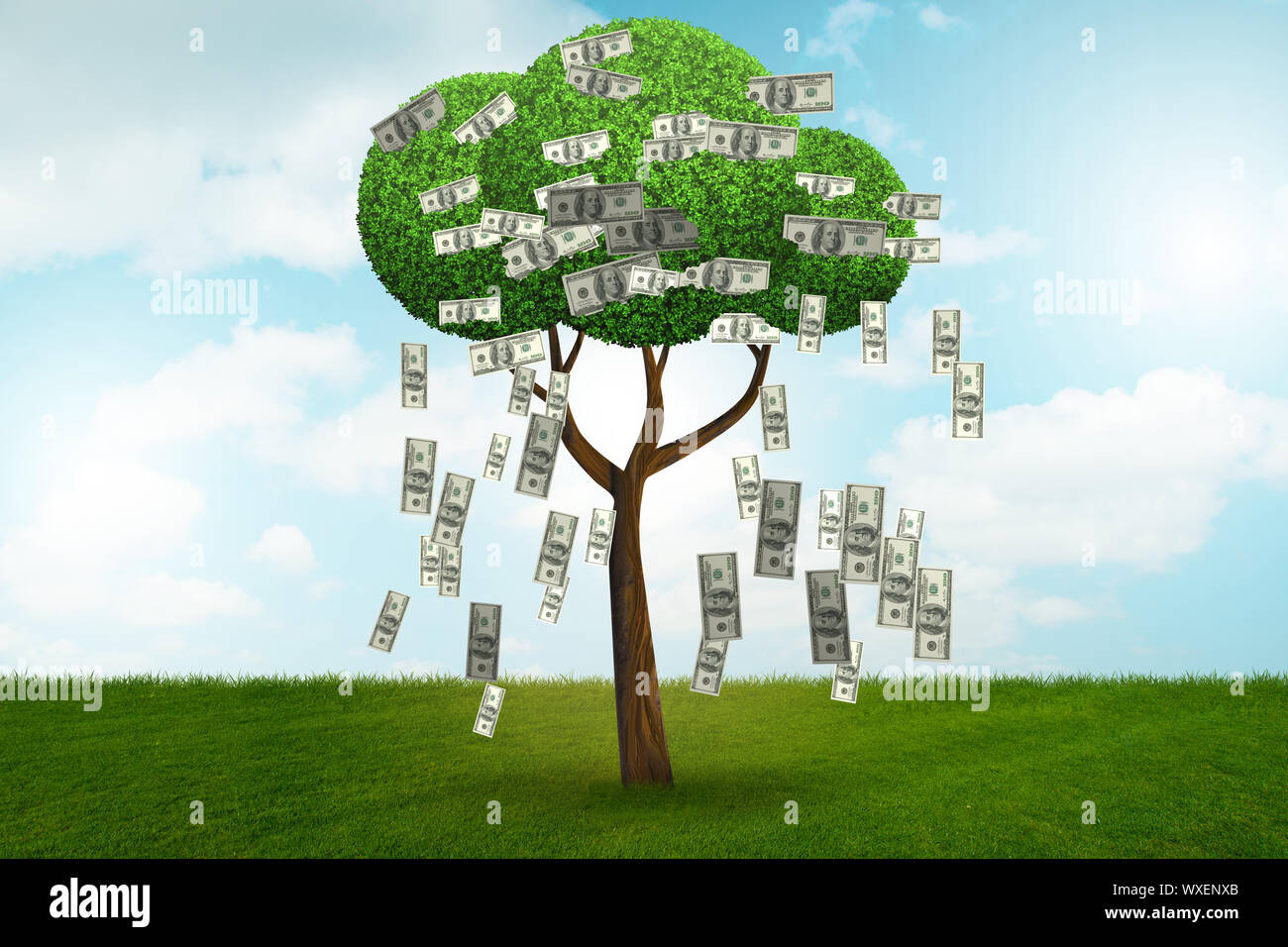 Money tree in business concept - 3d rendering Stock Photo - Alamy
