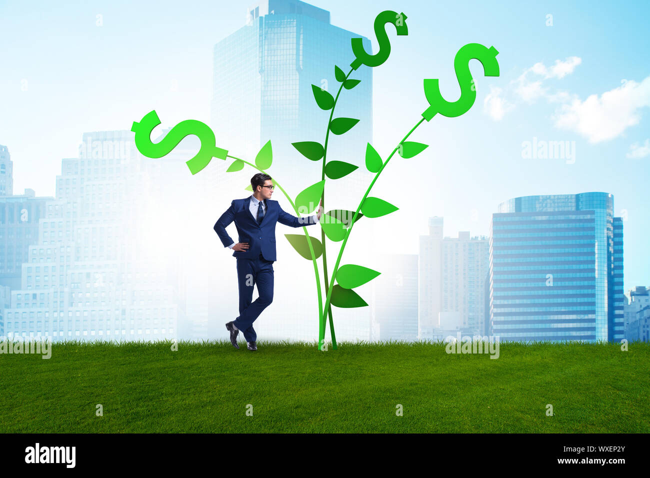 Money tree concept with businessman in growing profits Stock Photo - Alamy