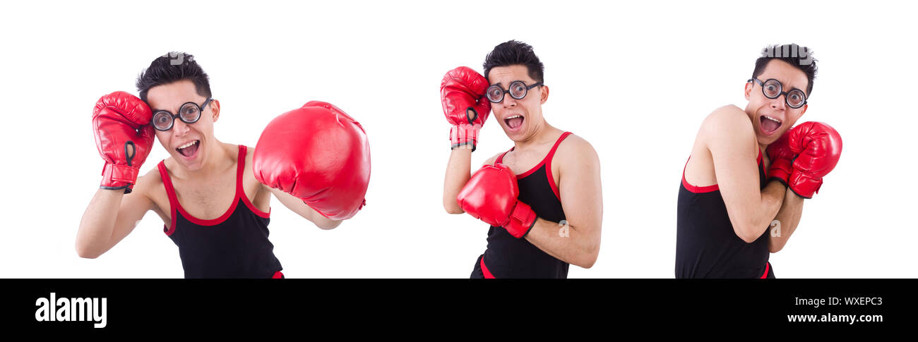 Funny boxer isolated on the white background Stock Photo - Alamy