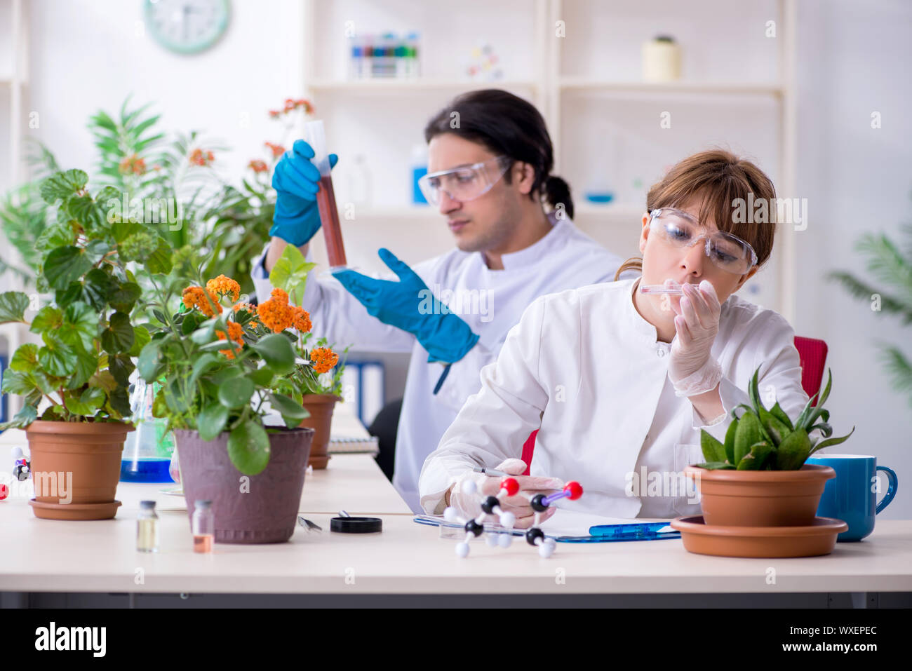 Two young botanist working in the lab Stock Photo - Alamy