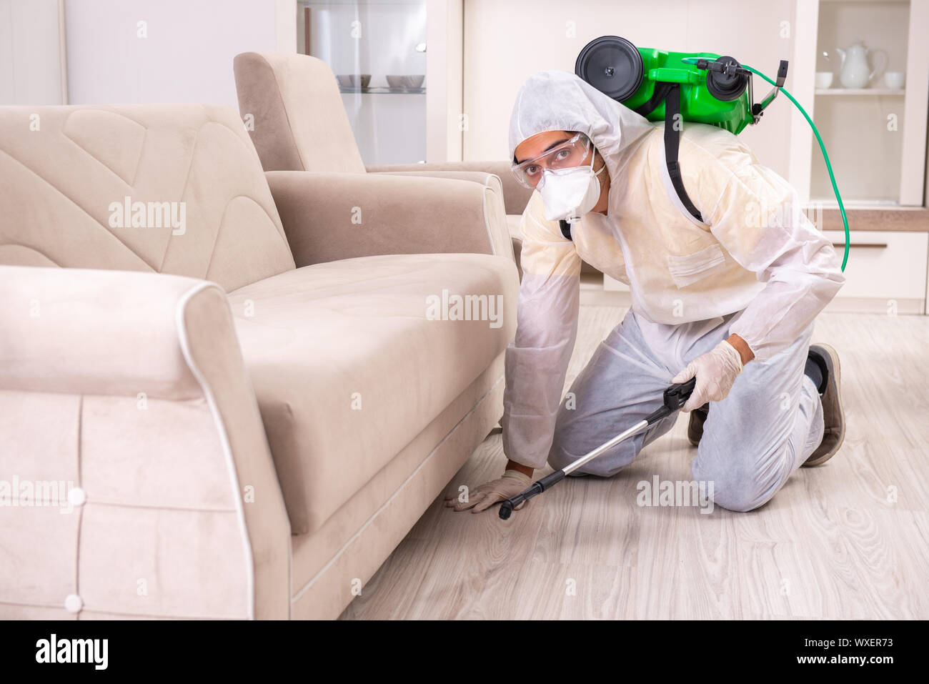 Pest control contractor working in the flat Stock Photo - Alamy