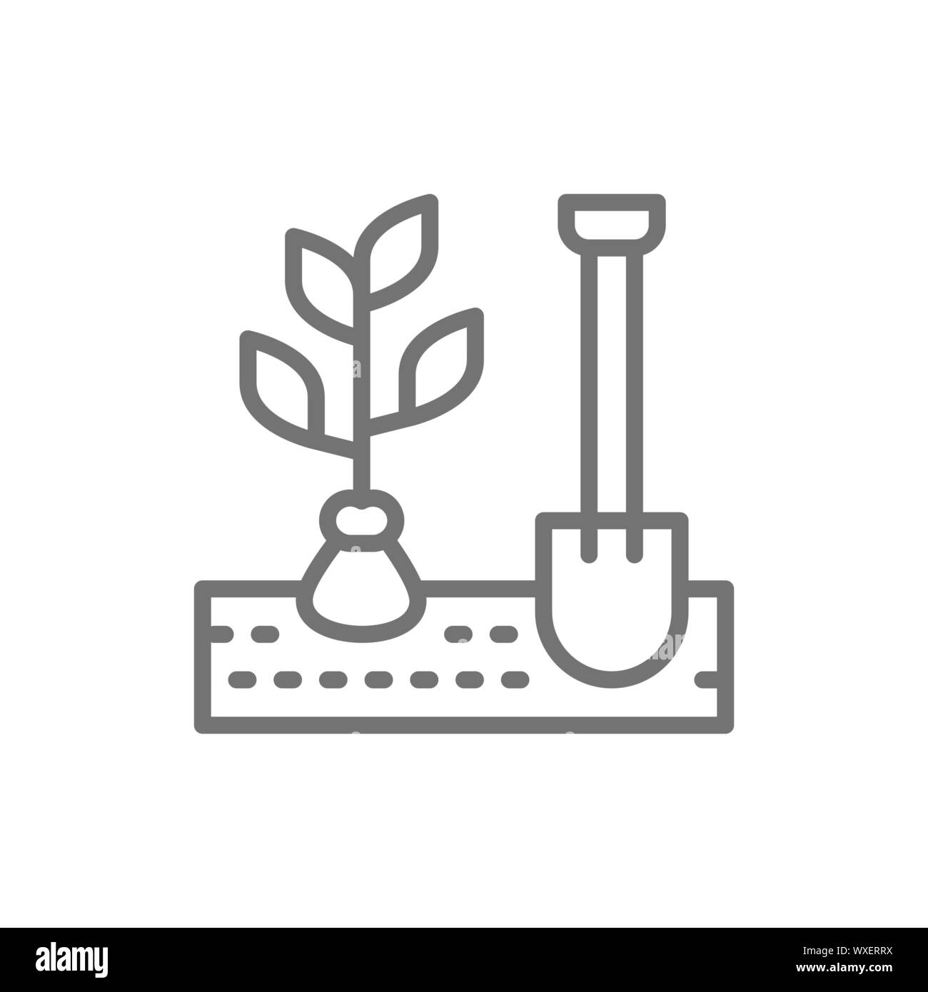 Tree planting growth up Cut Out Stock Images & Pictures - Alamy