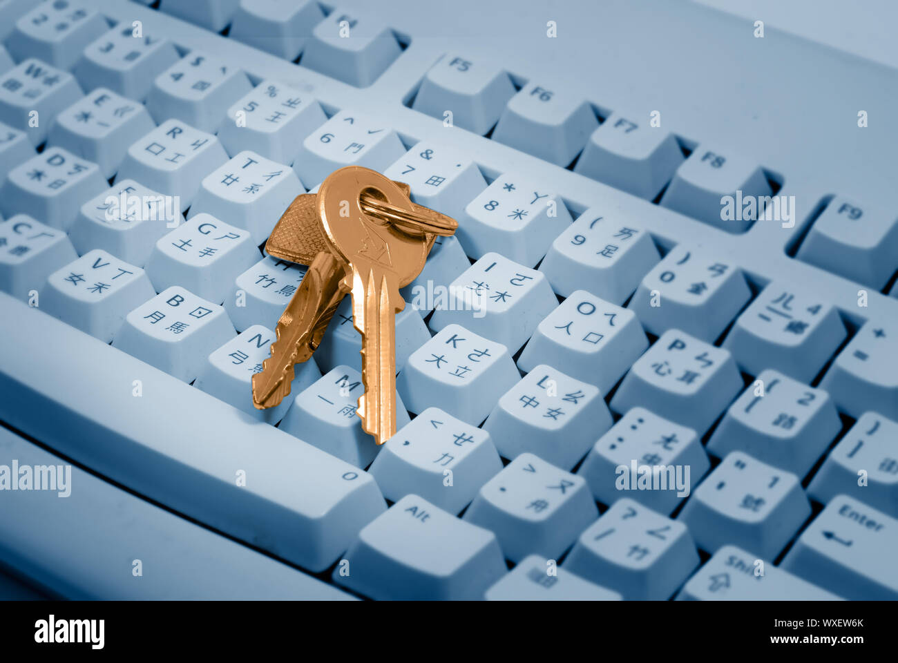 Keys are on the computer keyboard. They have some common points Stock ...