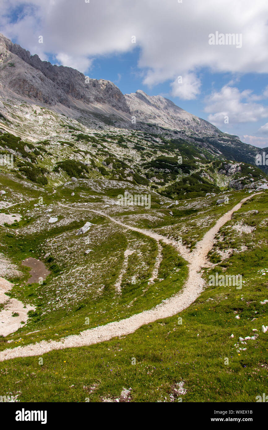 Split paths hi-res stock photography and images - Alamy