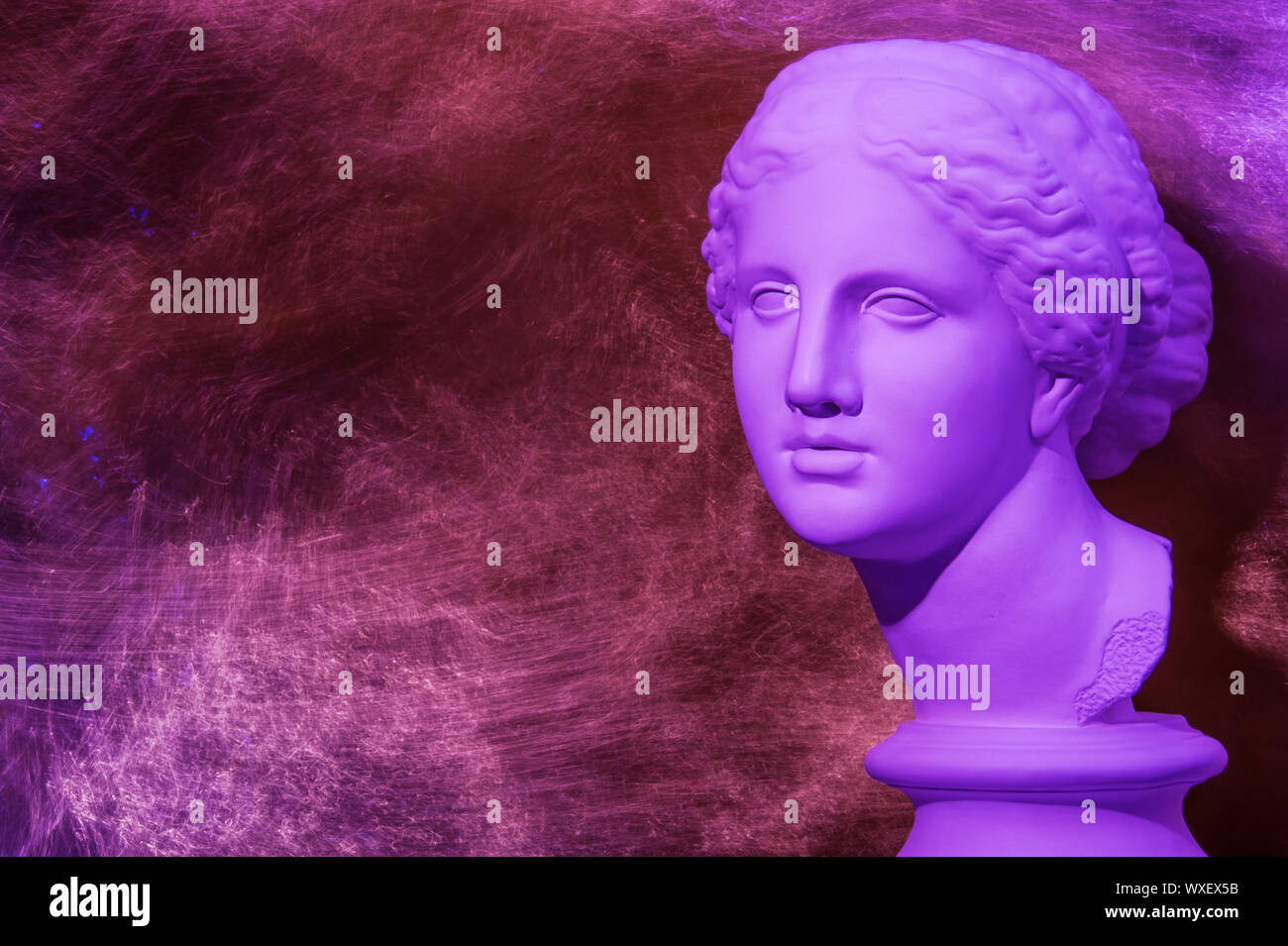 Gypsum copy of ancient statue Venus head on a textured background ...