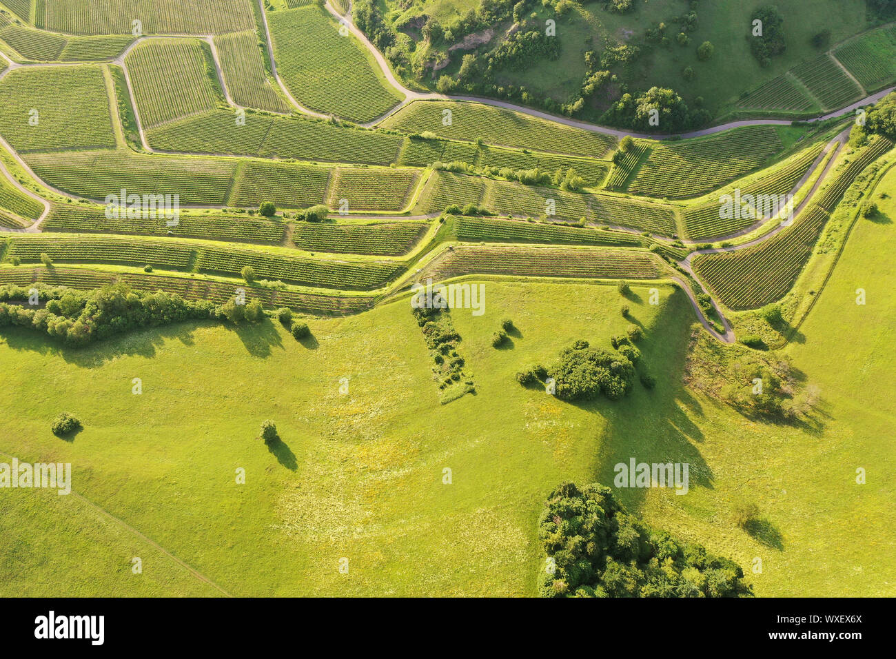 aerial view vineyard scenery at Kaiserstuhl Germany Stock Photo - Alamy