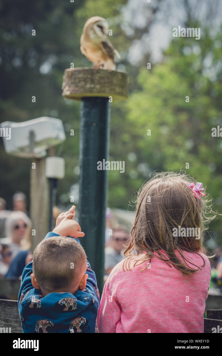 Kids bird watching hi-res stock photography and images - Alamy