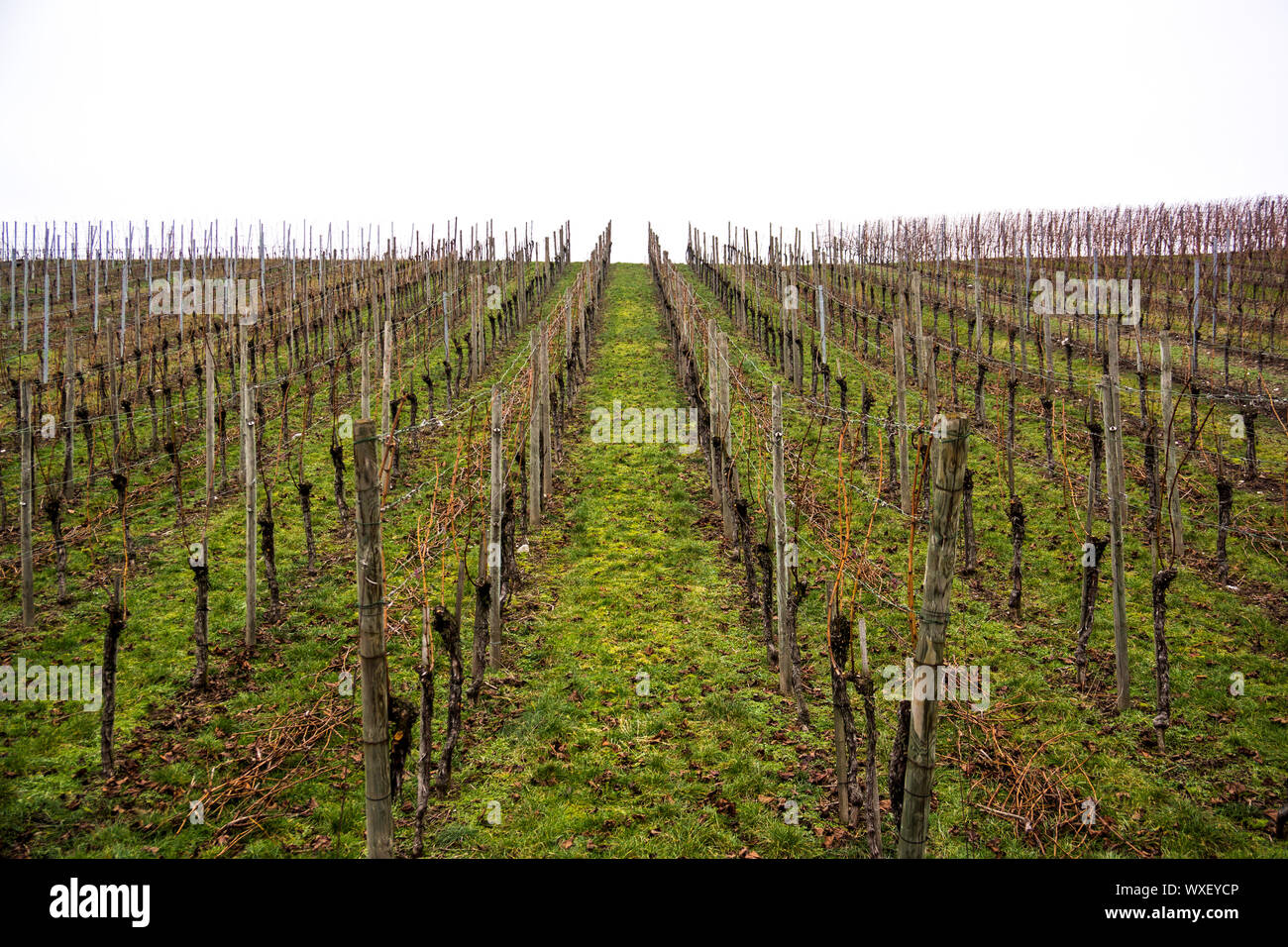 Growing age hi-res stock photography and images - Alamy