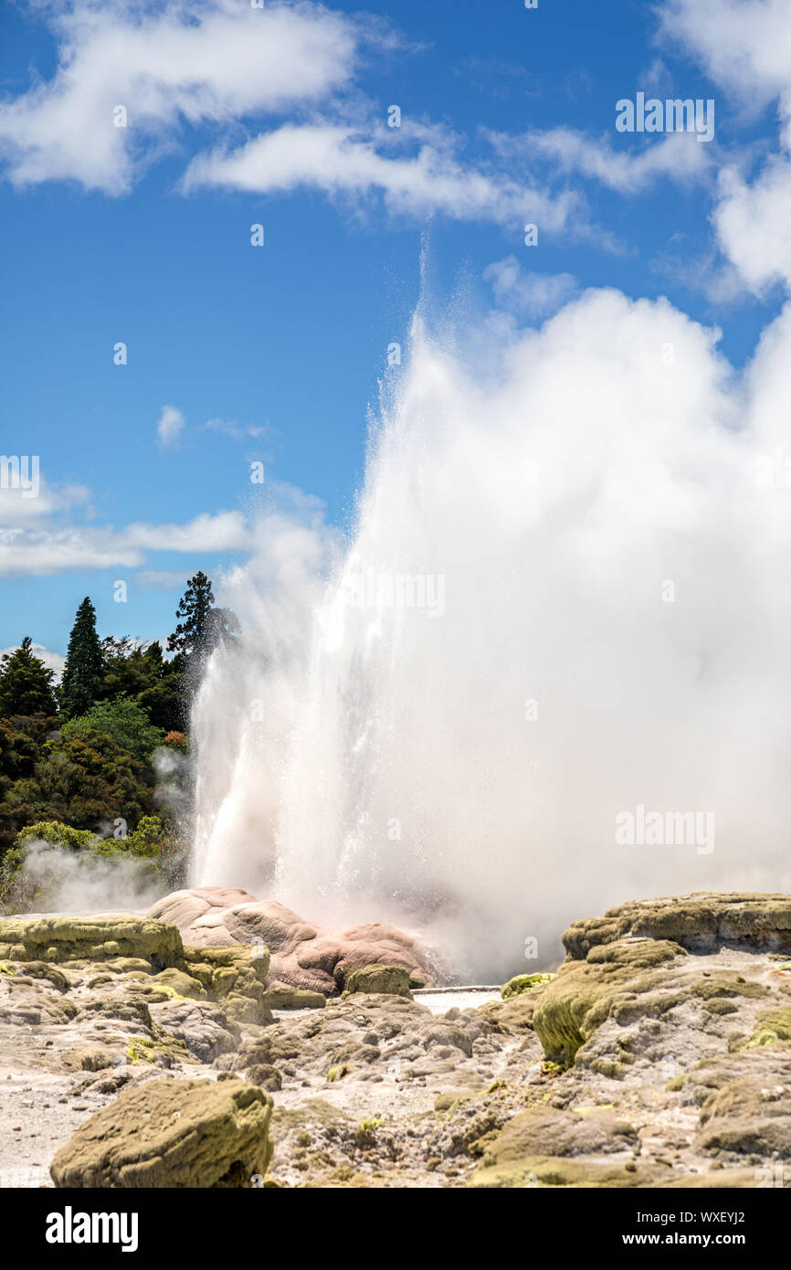 Geyserland hi-res stock photography and images - Alamy