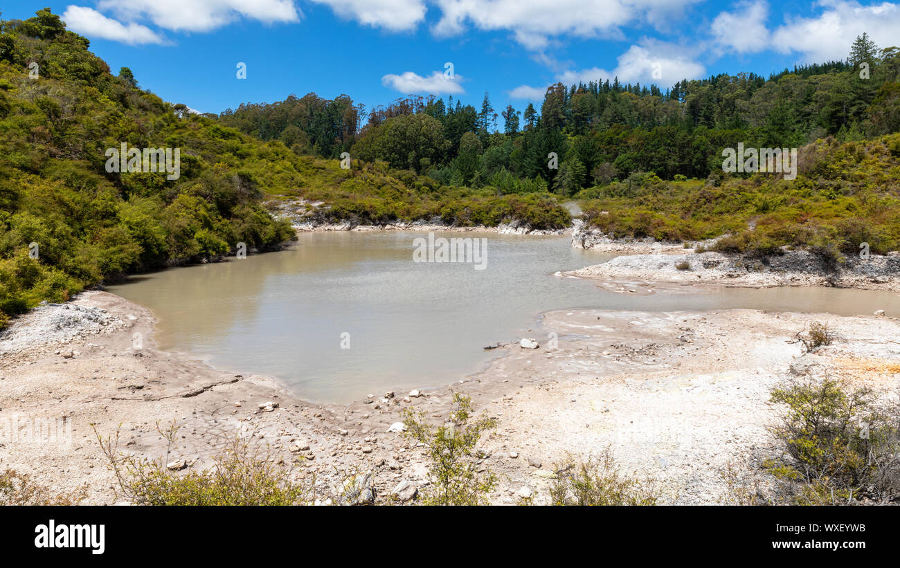 geothermal activity at Whakarewarewa Rotorua New Zealand Stock Photo ...