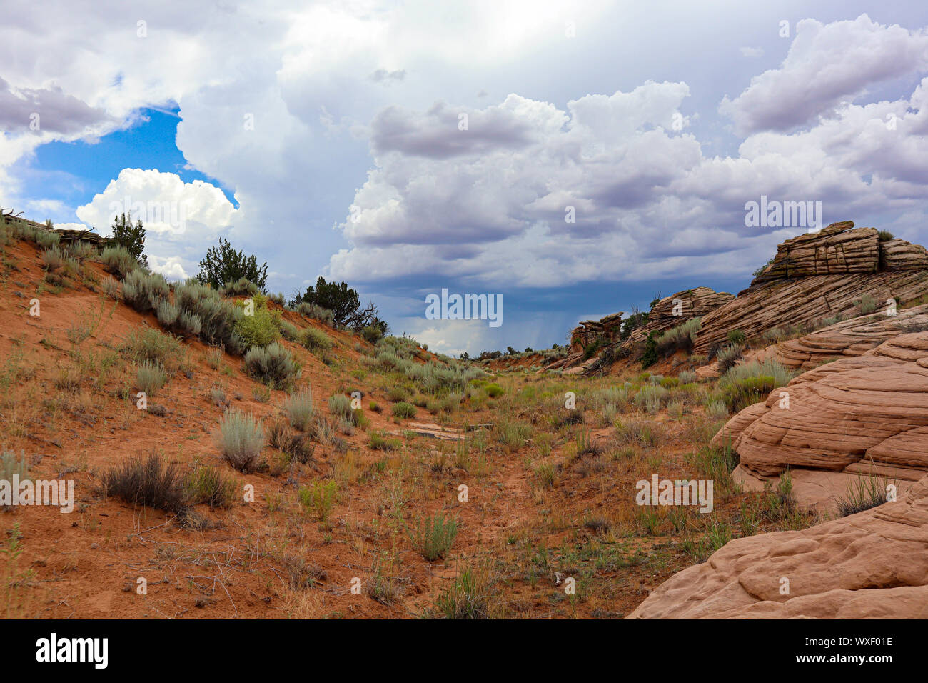 Dry wash before a summer storm in Northern Arizona Stock Photo - Alamy