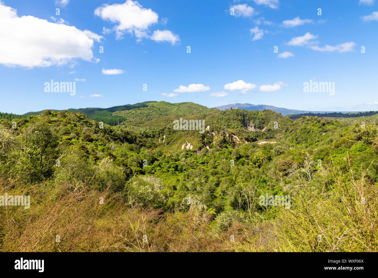 volcanic activities at waimangu Stock Photo - Alamy
