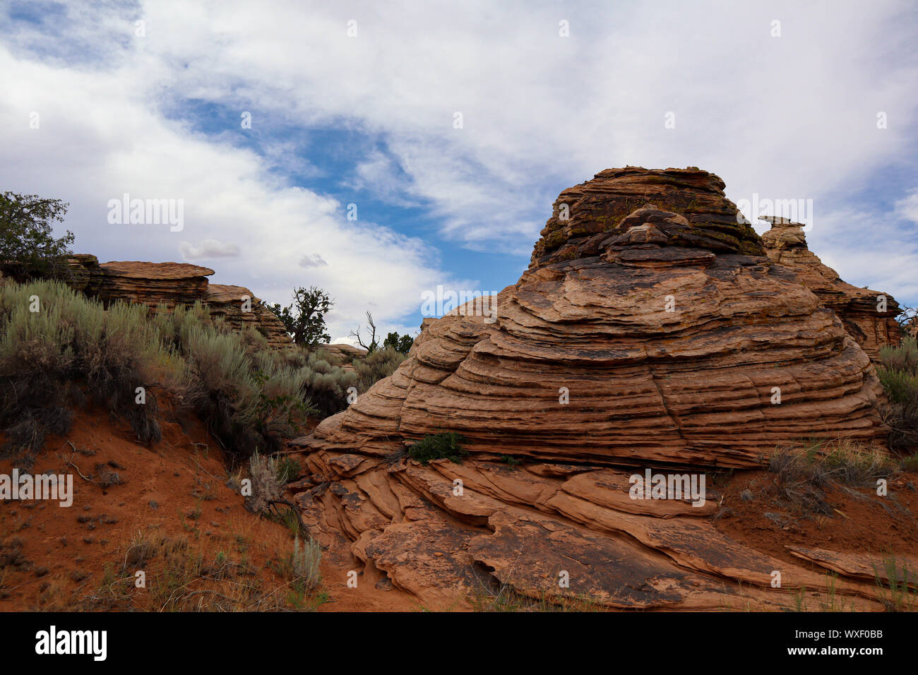 Holbrook arizona landscape hi-res stock photography and images - Alamy