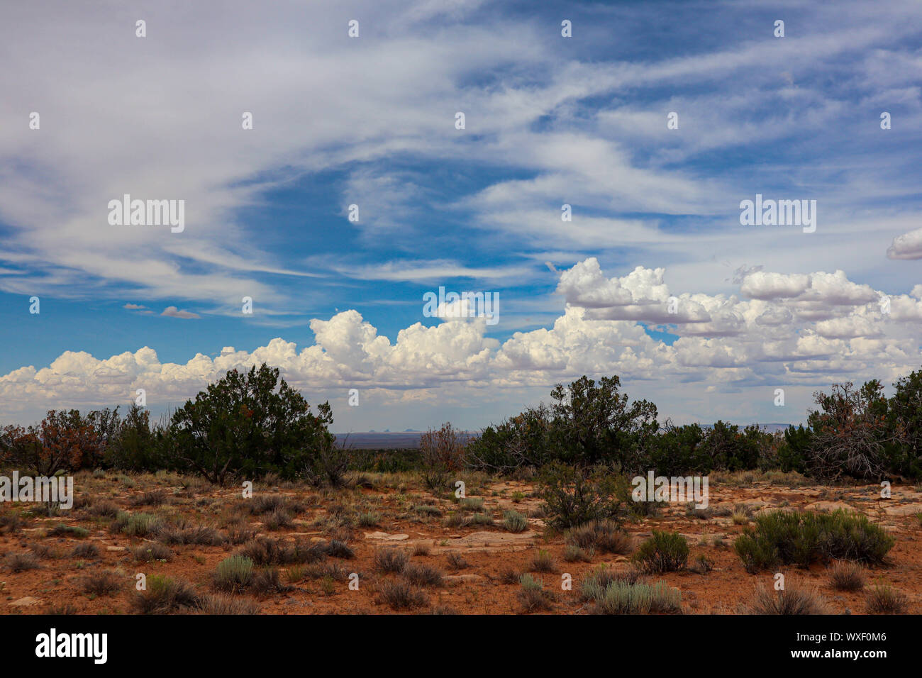 Northern Arizona Desert Landscape in the summer Stock Photo - Alamy