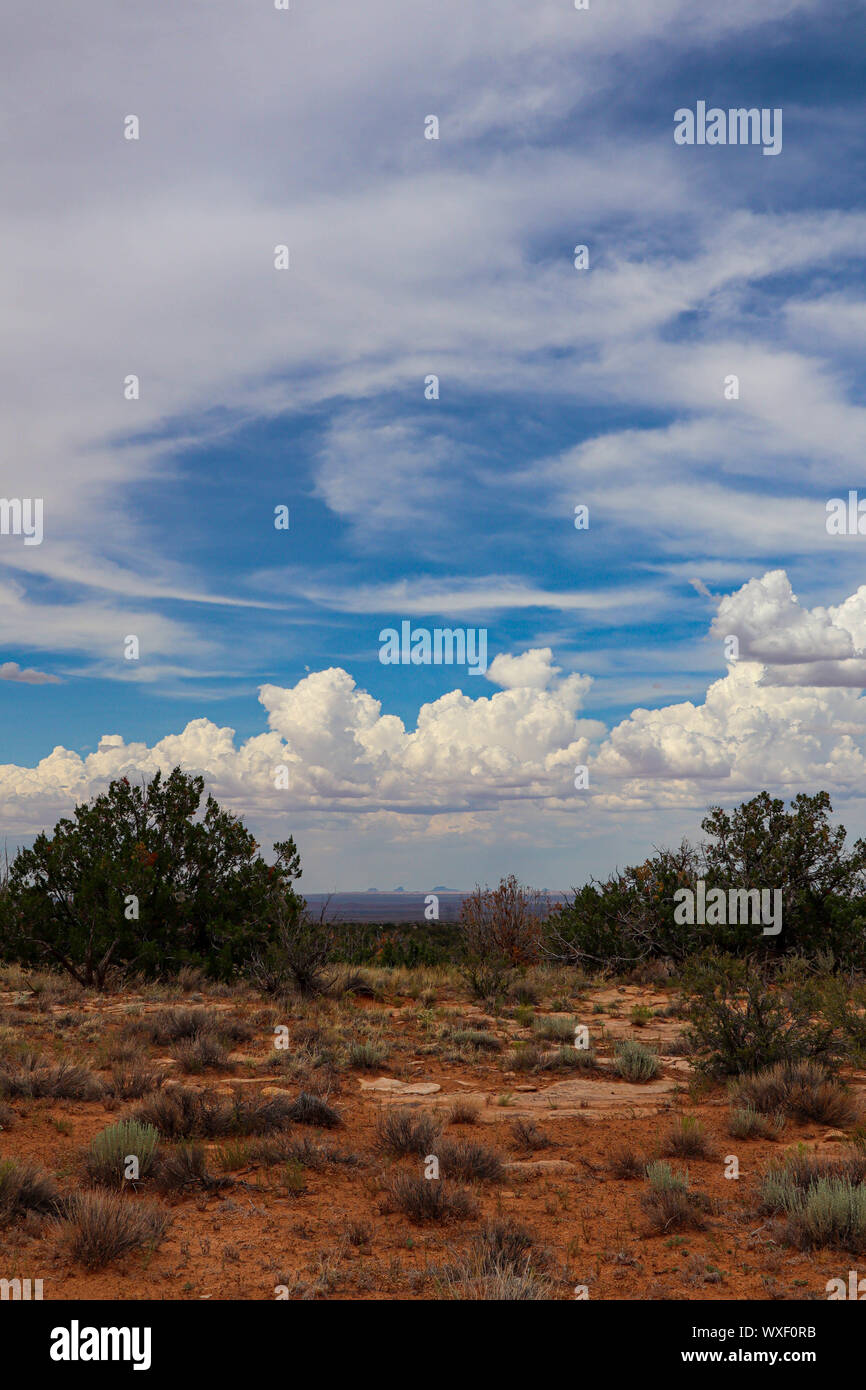 Arizona Desert Landscape in the summer Stock Photo - Alamy